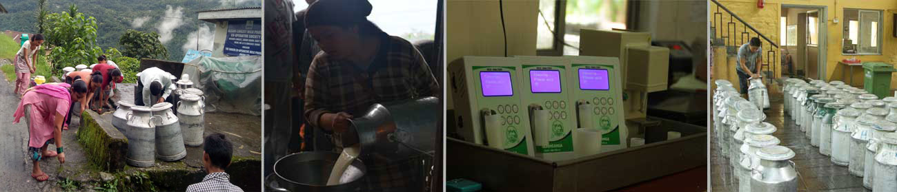 The Sikkim Co-operative Milk Producers' Union Ltd