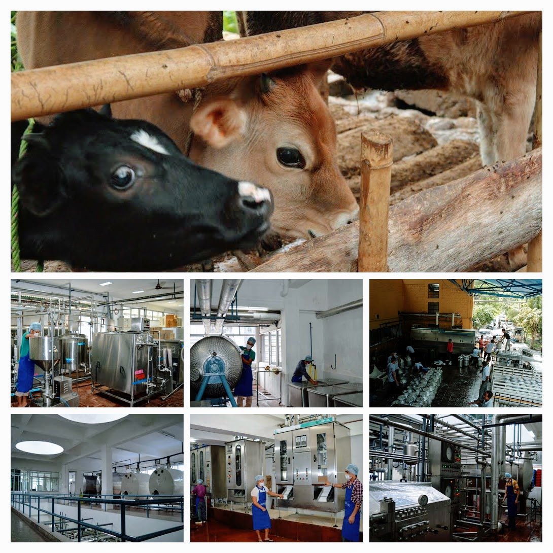 The Sikkim Co-operative Milk Producers' Union Ltd