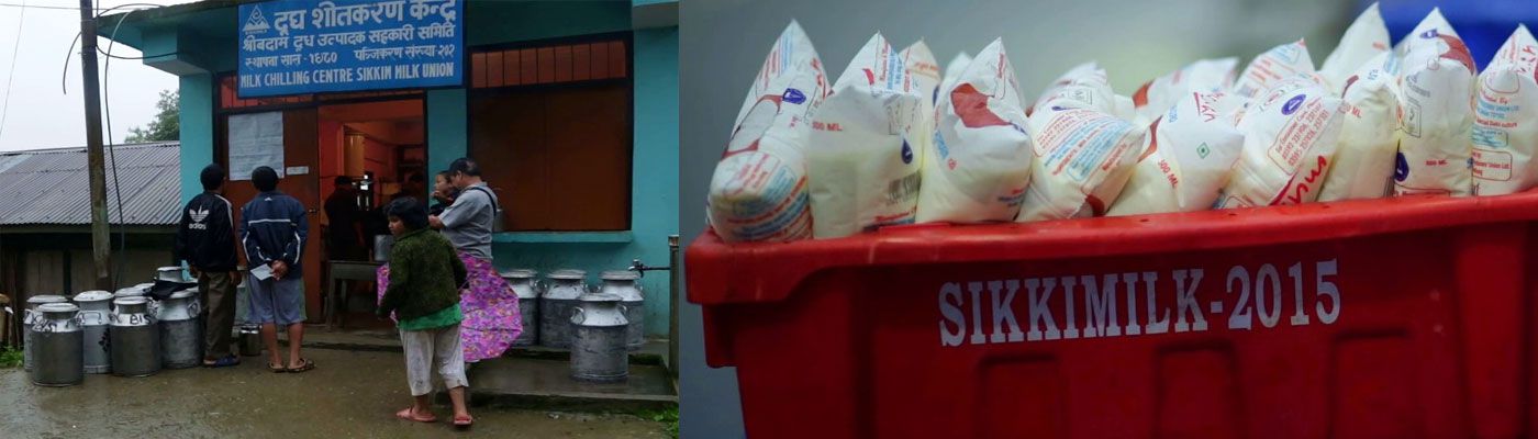 The Sikkim Co-operative Milk Producers' Union Ltd