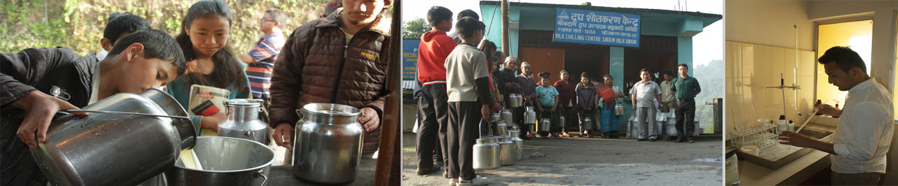 The Sikkim Co-operative Milk Producers' Union Ltd