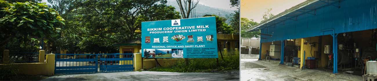 The Sikkim Co-operative Milk Producers' Union Ltd